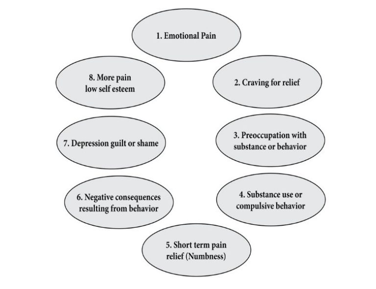 Understanding Addiction - Principles - ACCFS