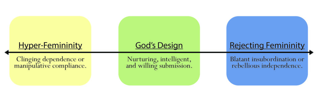 Biblical Headship & Submission - ACCFS