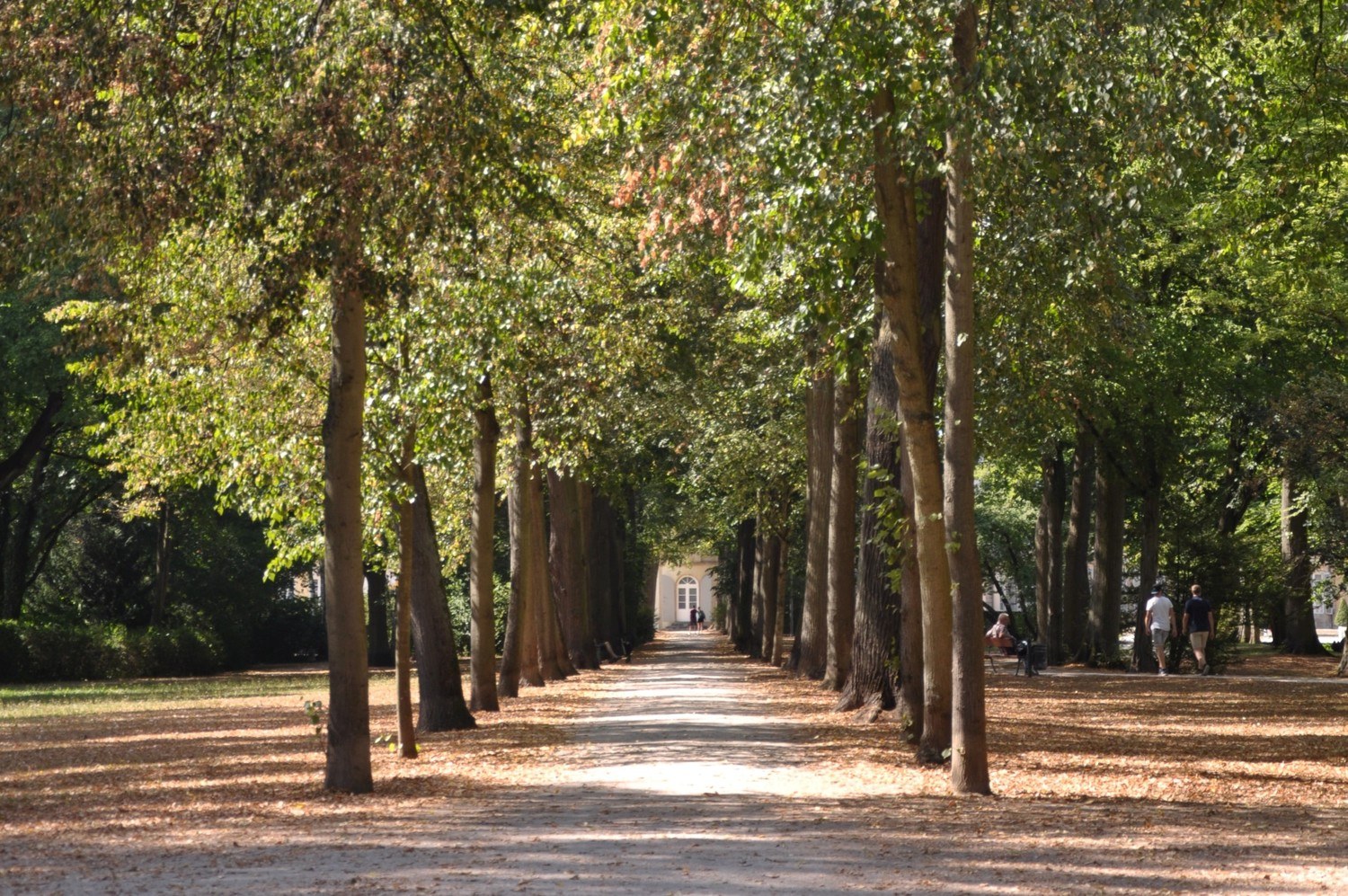 Common Obsessional Themes In Christians With Scrupulosity OCD - ACCFS