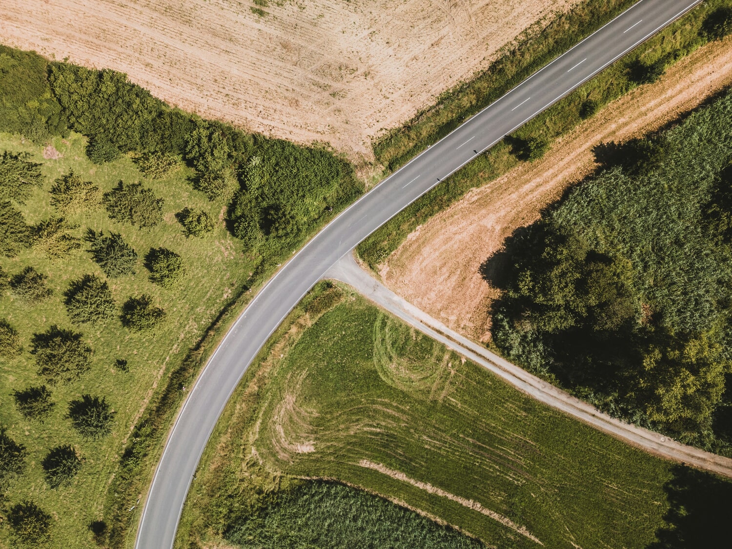 The Life Curve - ACCFS